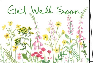 Page 5 - Folding Flower Cards in Pack of 50 | Flower Card Company